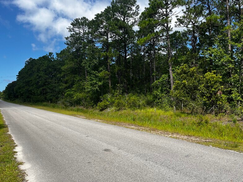 West Boiling Spring Road, Boiling Spring Lakes, NC 28461 - Land For ...