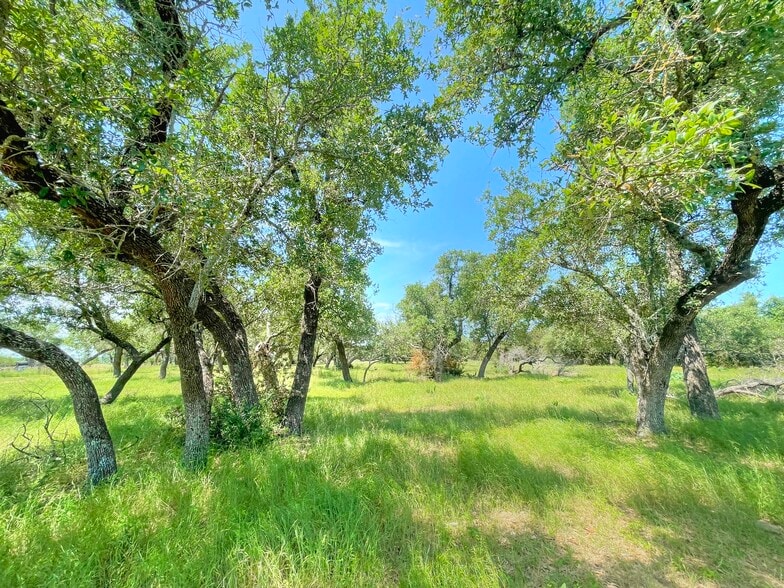 County Road 253, Bertram, TX 78605 - Land For Sale Cityfeet.com