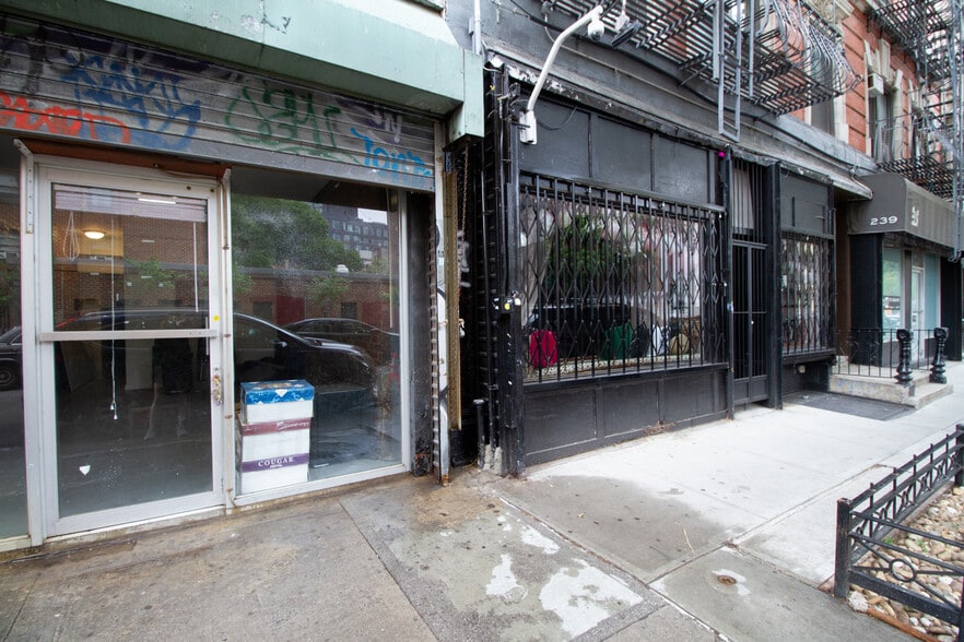 235 Eldridge St, New York, NY 10002 - Multi-Family For Lease Cityfeet.com