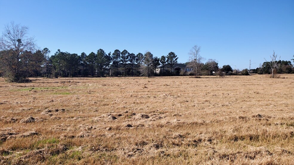 South Pine Street Park Ave, Foley, AL 36535 - Land For Sale Cityfeet.com